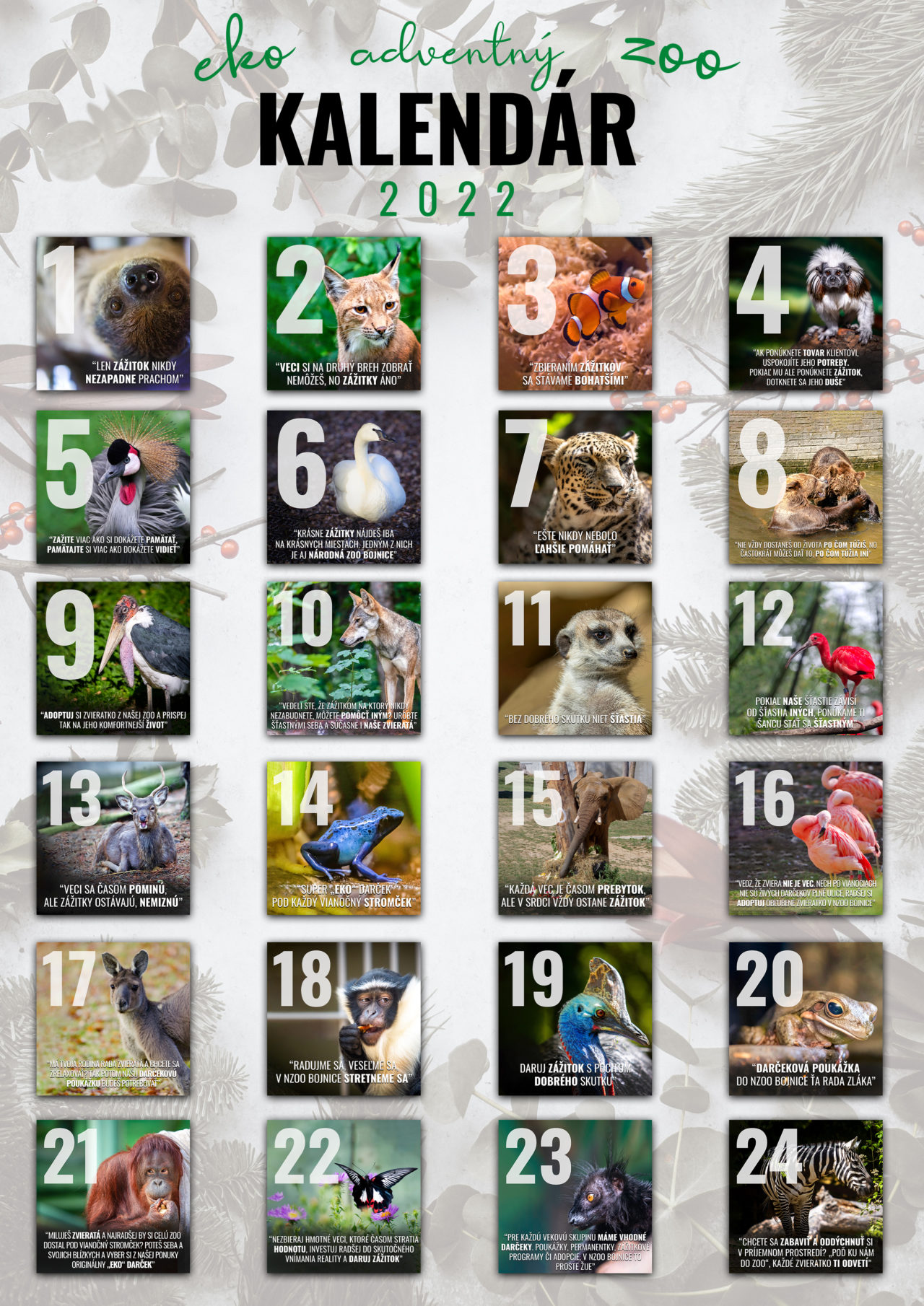 Adventný zoo-eko-kalendár 2022 - Národná zoo Bojnice