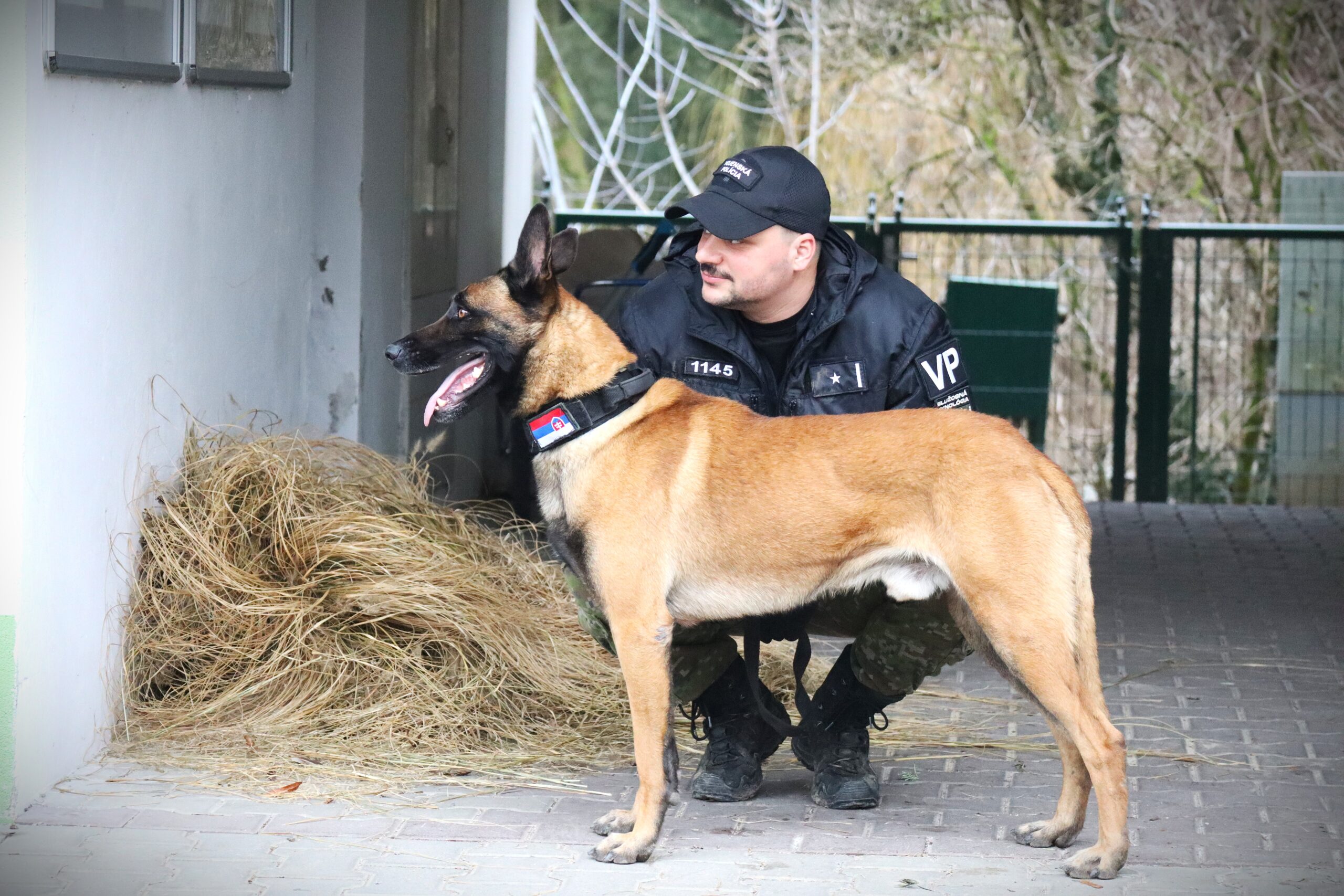 VIDEO Cvičenie psovodov a psov v špeciálnej kynológii - Národná zoo Bojnice